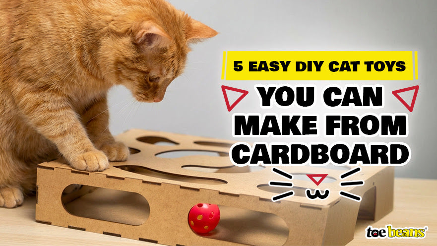 5 Easy DIY Cat Toys You Can Make from Cardboard - toe beans