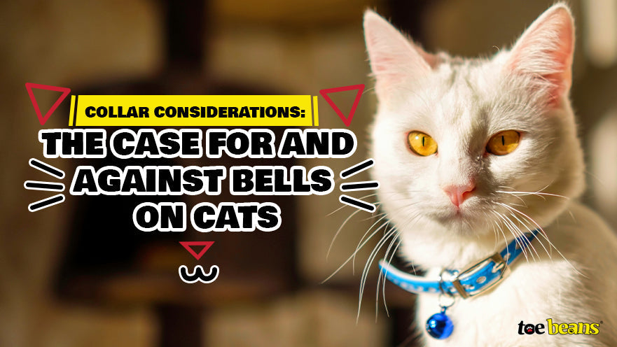 Collar Considerations: The Case for and Against Bells on Cats - toe beans