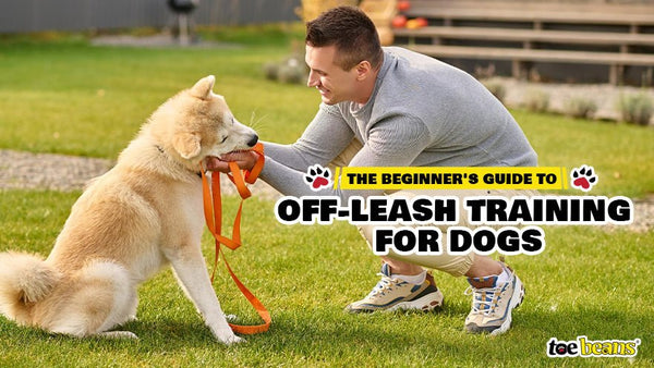 The Beginner's Guide to Off-Leash Training for Dogs - toe beans