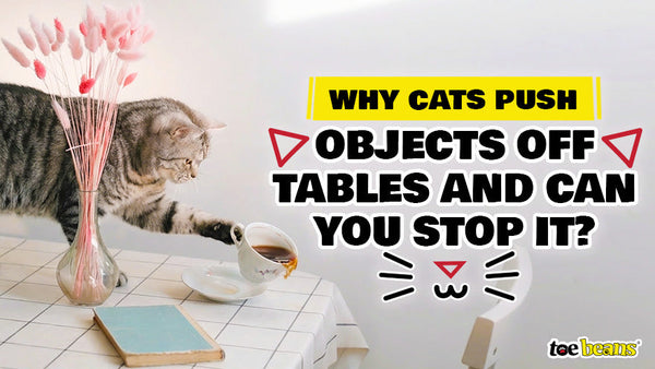 Why Cats Push Objects Off Tables and Can You Stop It? - toe beans