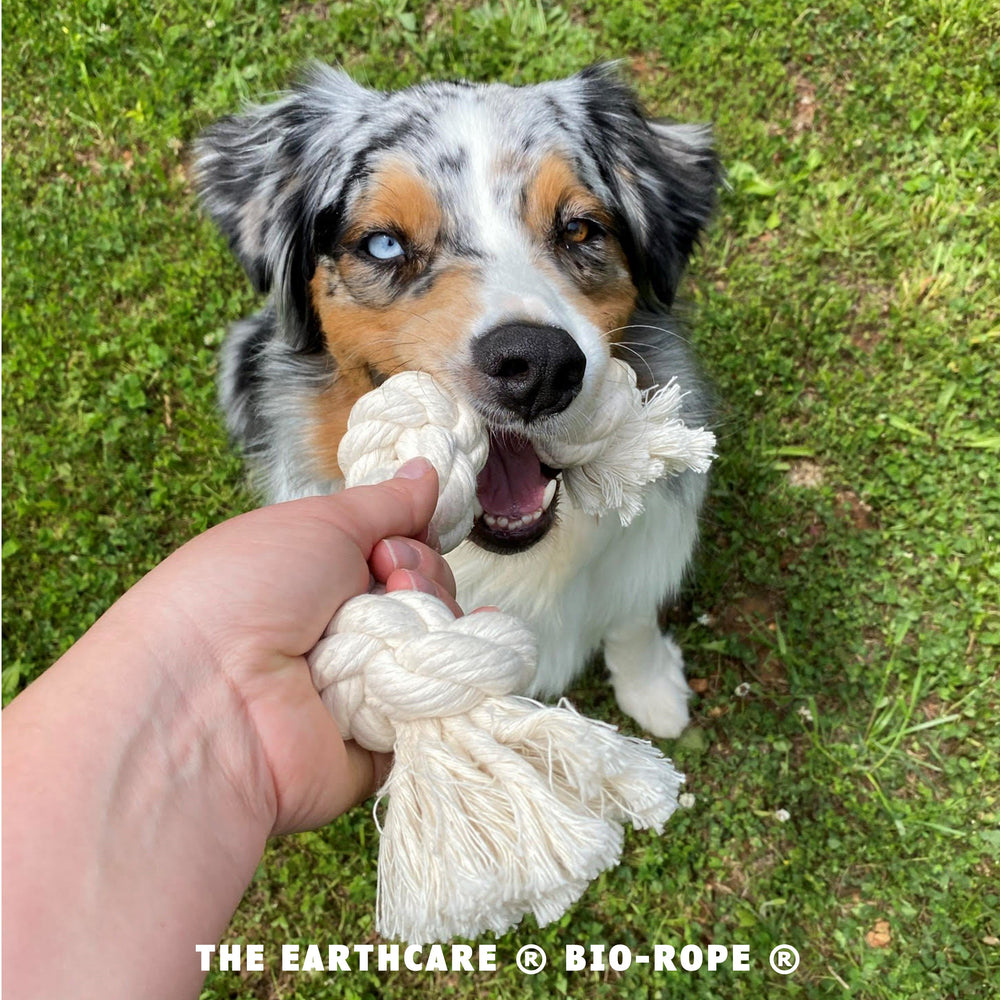 Shop for Medium-sized Dog Rope Toys - USA Made - toe beans