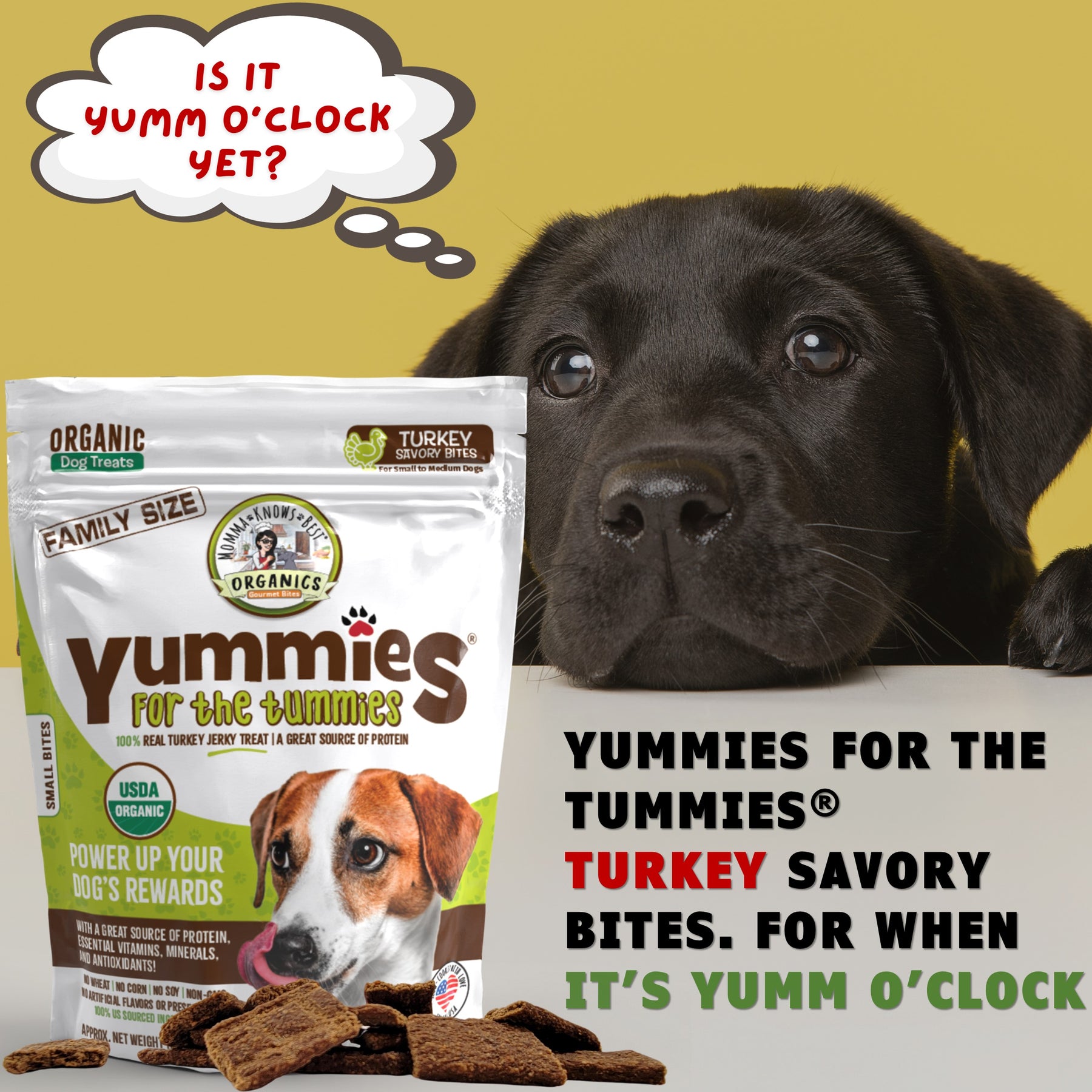 Organic Dog Treats | Turkey Jerky | Family Size| 12 oz - toe beans