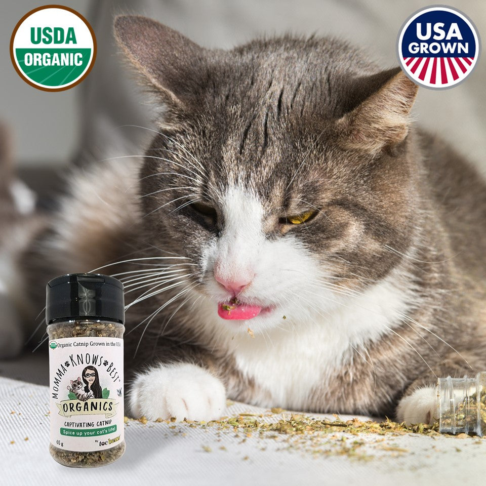 Potent US Grown Catnip for Cats - USDA Organic - toe beans