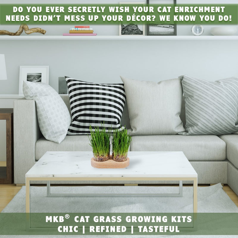 Cat Grass Growing Kits | Replacement Parts - toe beans