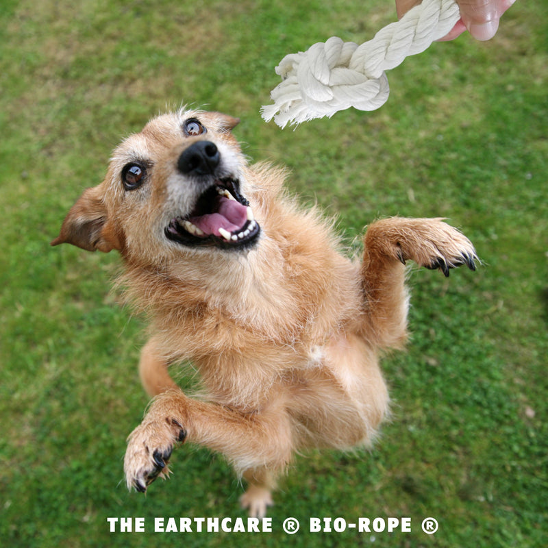 Shop for Medium-sized Dog Rope Toys - USA Made - toe beans